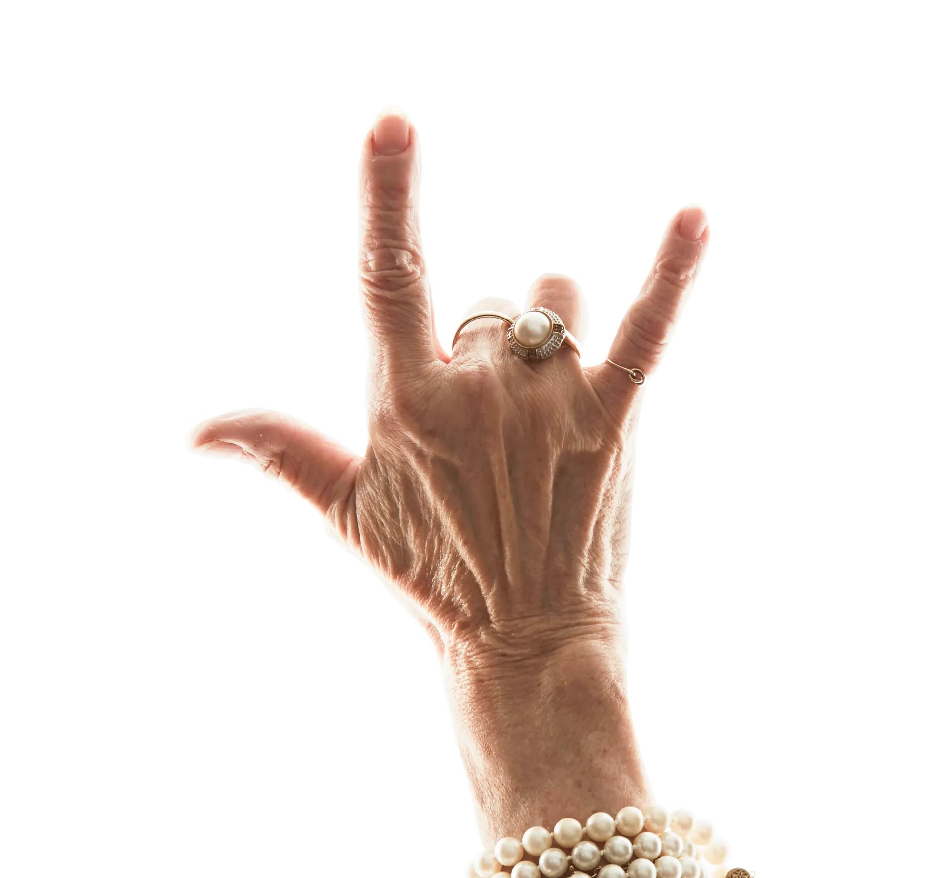 Solving the Puzzle of Aging Magnificently - Lifespark